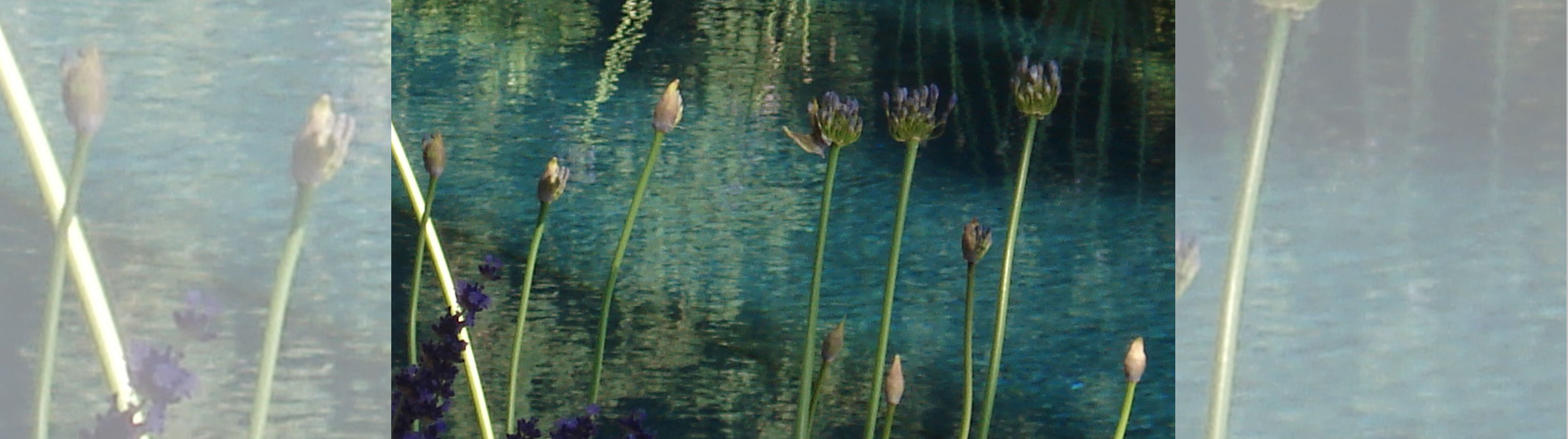 Swimming Pools | François Goffinet