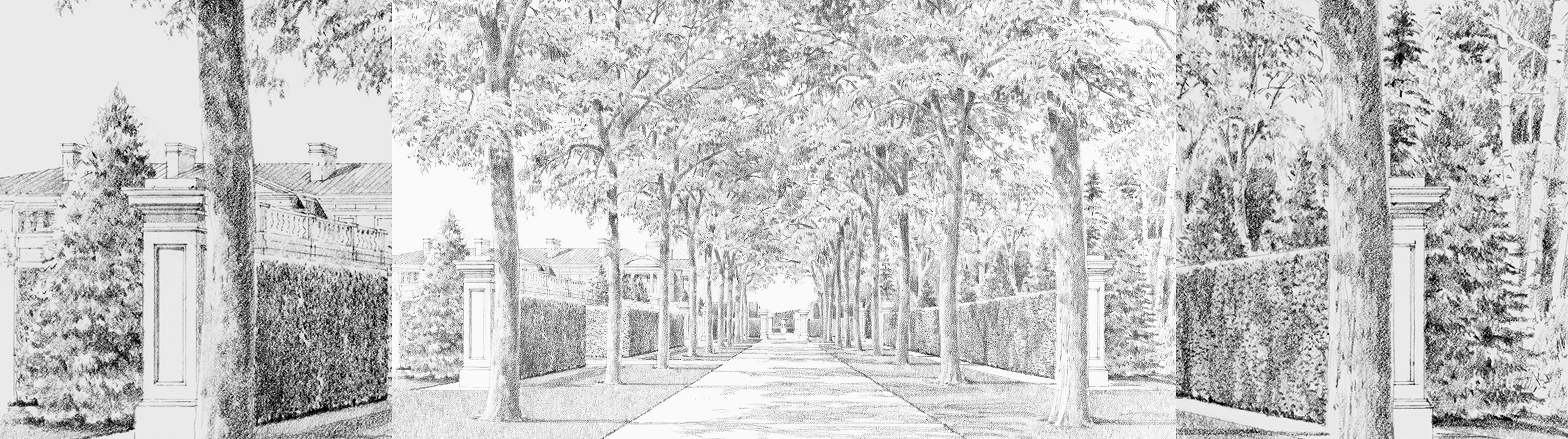 Landscape | François Goffinet